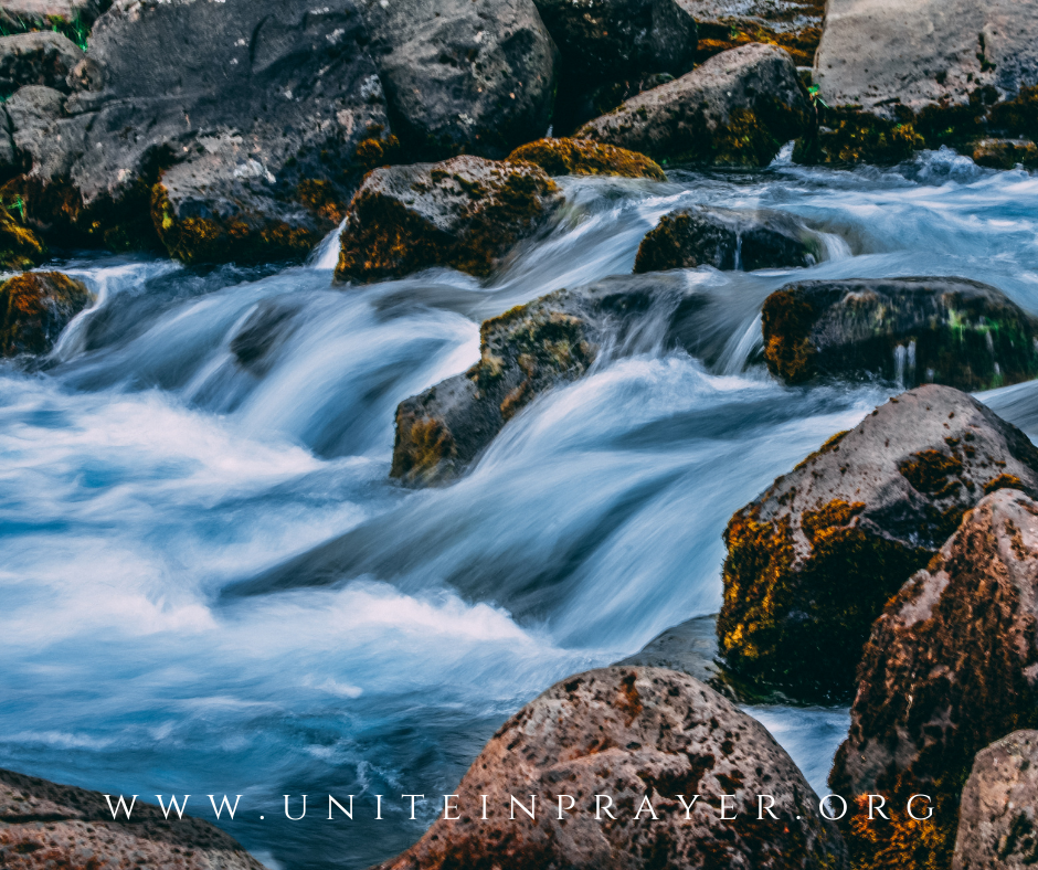 Faith in Action: Caring for the Environment - Unite in Prayer